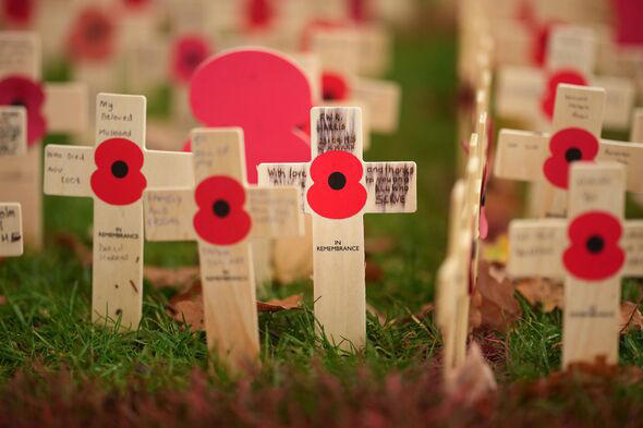 The Royal British Legion say they have just one 'ask' on how to wear ...
