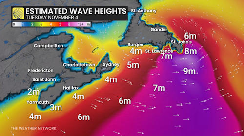Volatile 'weather bomb' targets Newfoundland with 100+km/h winds ...