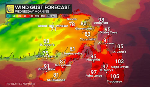 Volatile 'weather bomb' targets Newfoundland with 100+km/h winds ...