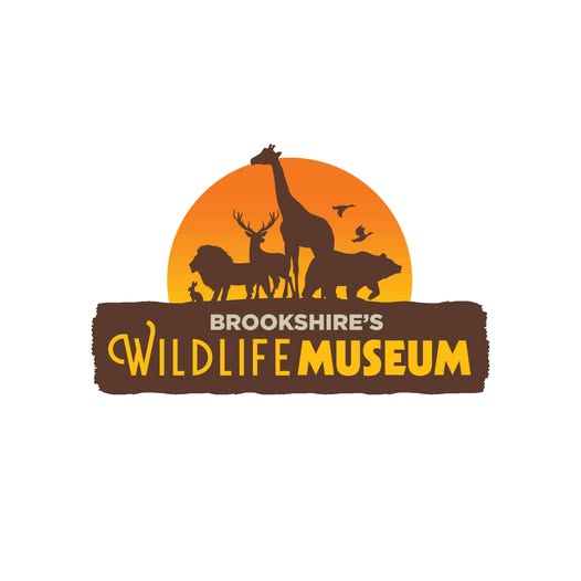 Beloved wildlife museum reopens in Tyler