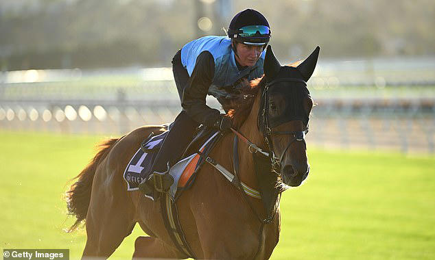 Australia's smartest boffins and artificial intelligence pick SAME ...