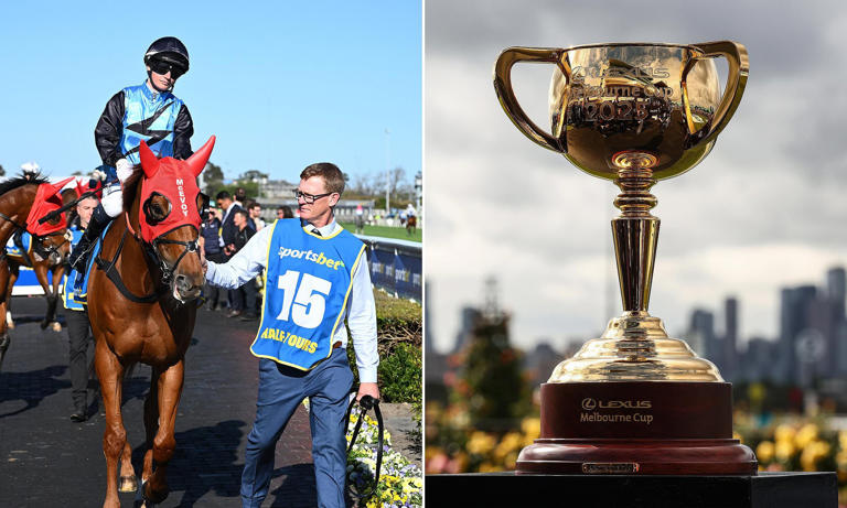Revealed: The horses that are NO CHANCE of winning the Melbourne Cup
