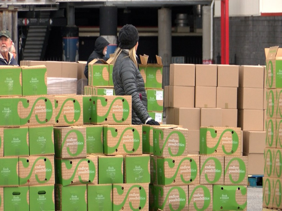 Second Harvest begins mass food distributions as part of emergency plan