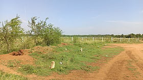 Tribal hamlet in Krishnagiri lacks basic amenities, eight children not ...