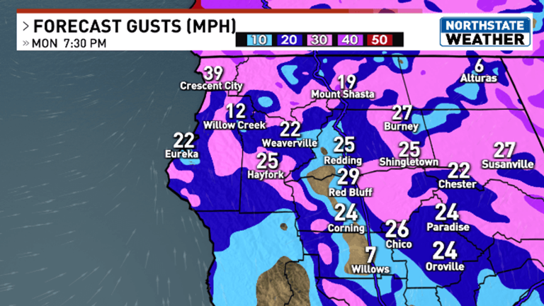 Monday Forecast: Gearing up for a wet and windy week