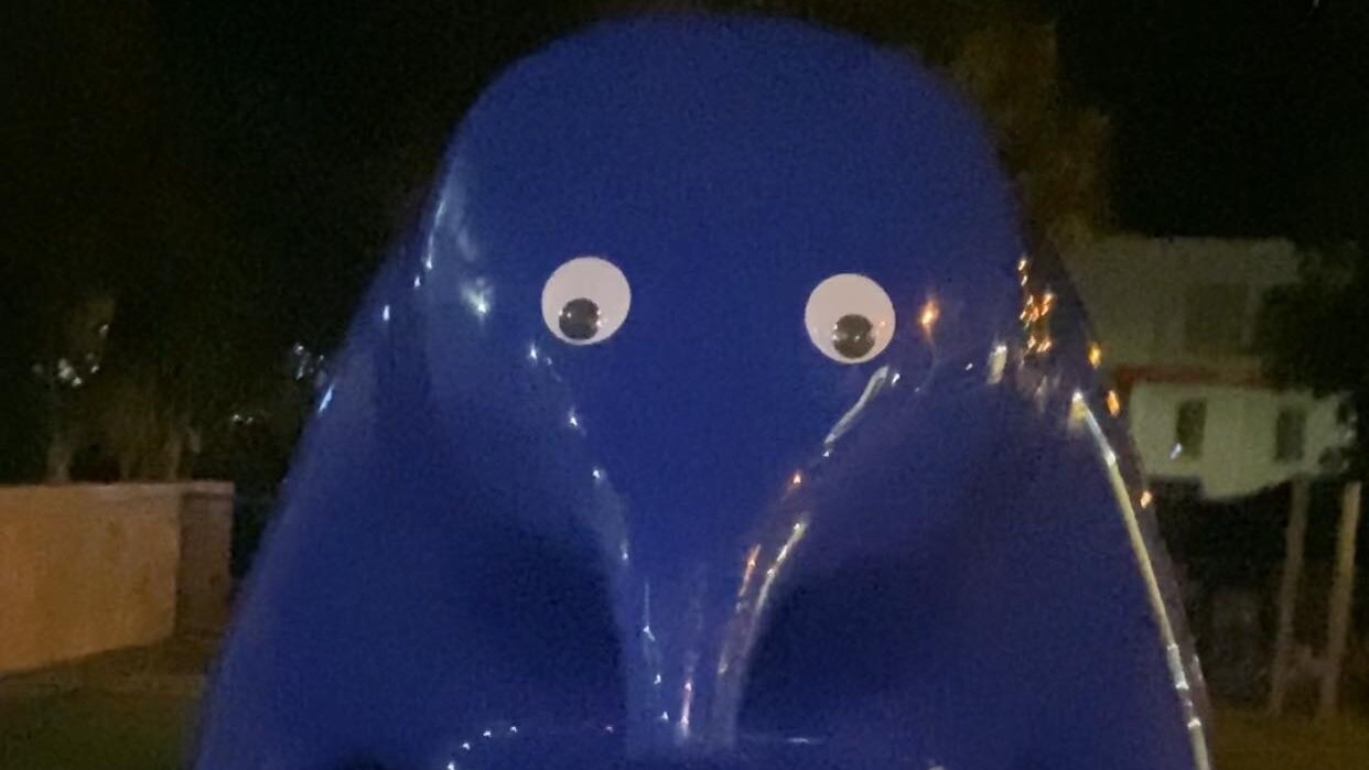 Mount Gambier woman appears in court charged over damage to city's Cast ...