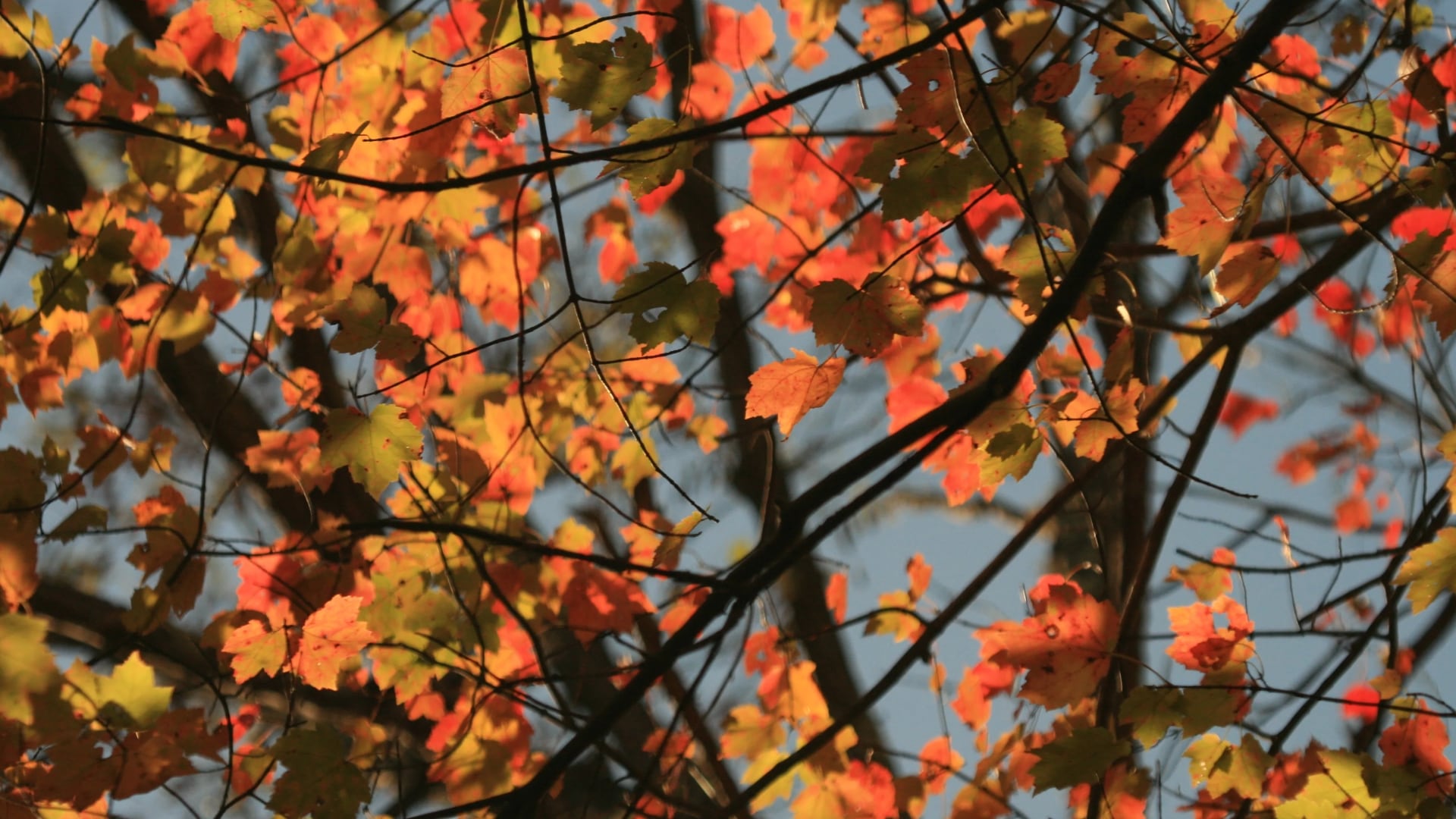 Warmer temperatures create pleasant fall day on Tuesday