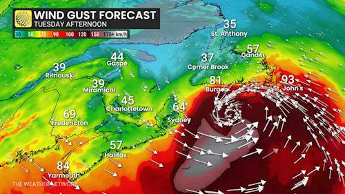 Volatile 'weather bomb' targets Newfoundland with 100+km/h winds ...