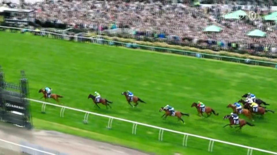 Buckaroo finishes last in 2025 Melbourne Cup
