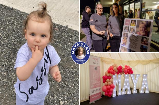 Maya’s Law reaches 8,000 signatures in significant milestone for County ...