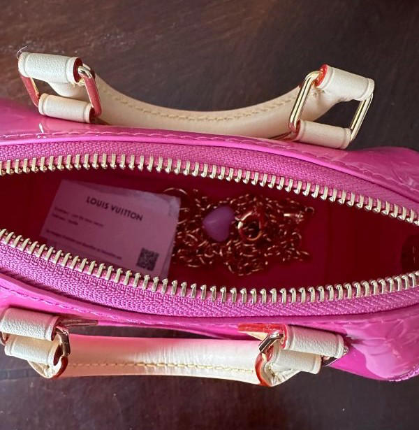 Shopper appalled after opening up $3,000 Louis Vuitton handbag: 'What a ...