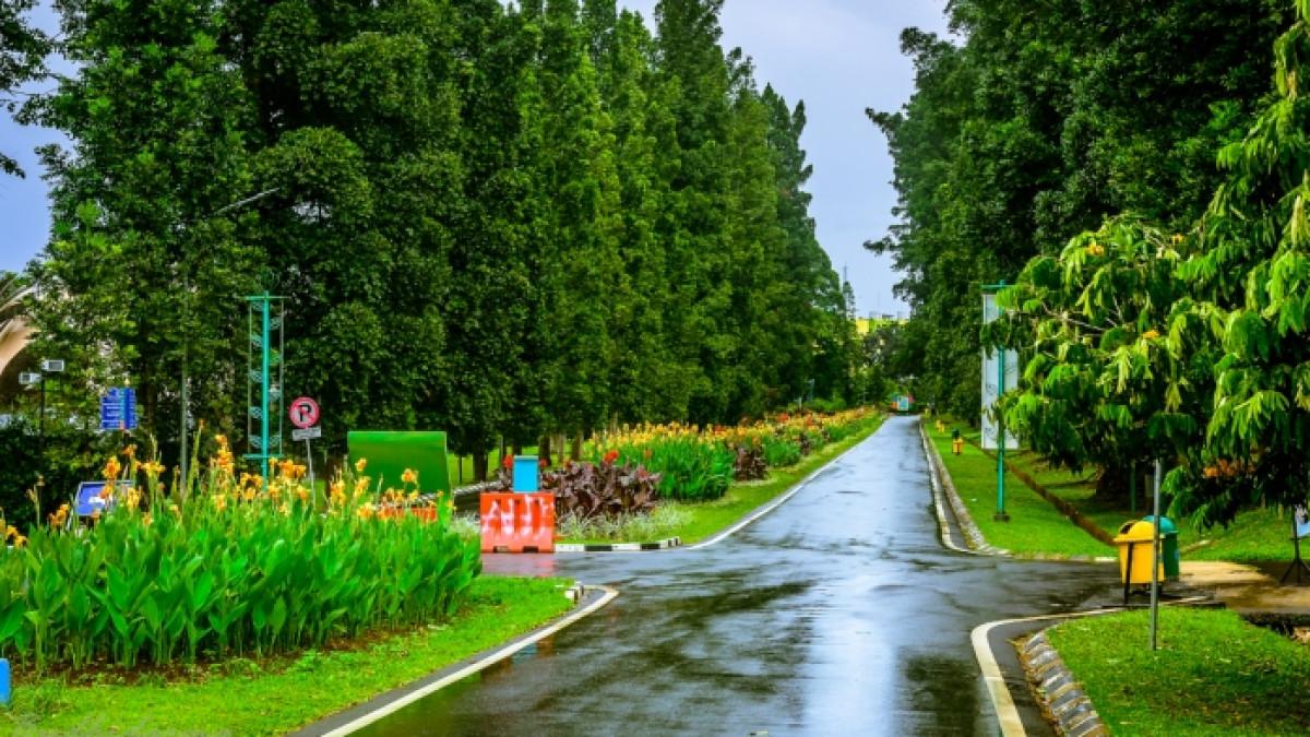 Healing ke Kebun Raya Bogor,Jawa Barat: Jelajah Taman Meksiko hingga ...
