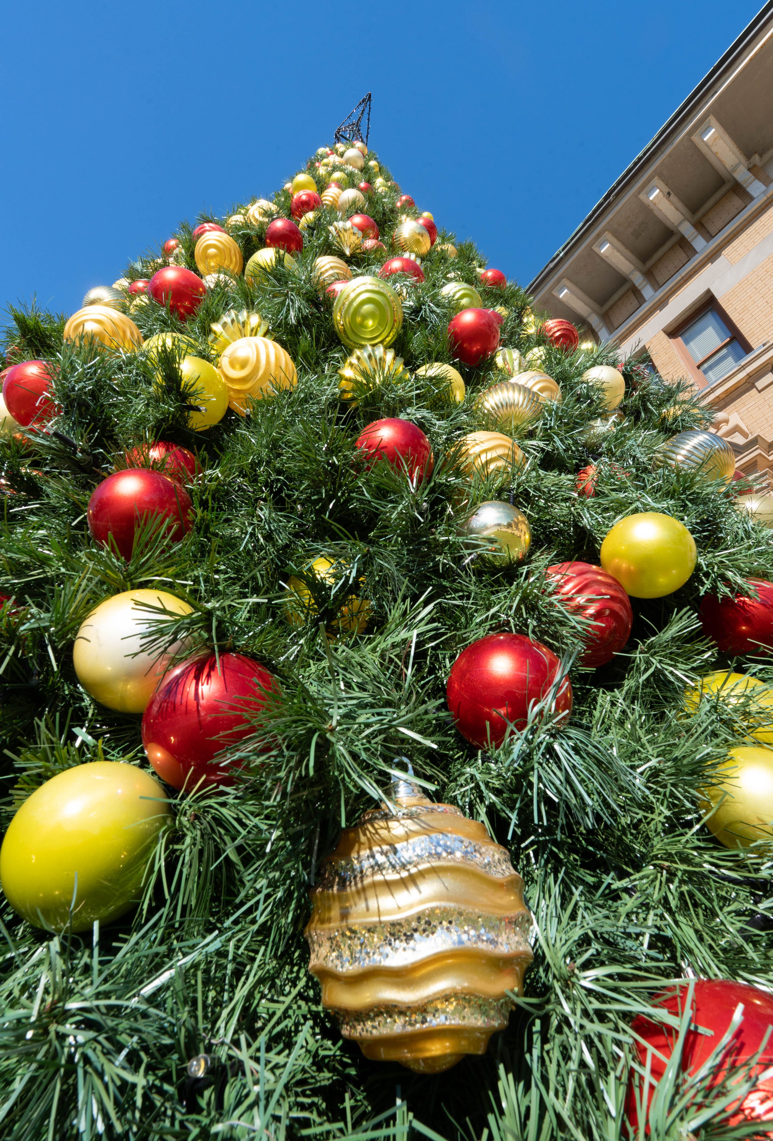 Tell us when you think Christmas decorations should go up, come down in ...