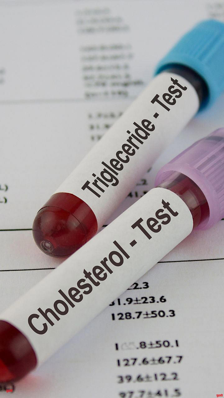 High Cholesterol Signs: कोलेस्टेरॉल वाढलंय हे शरीर आधीच सांगतं; फक्त ही ...