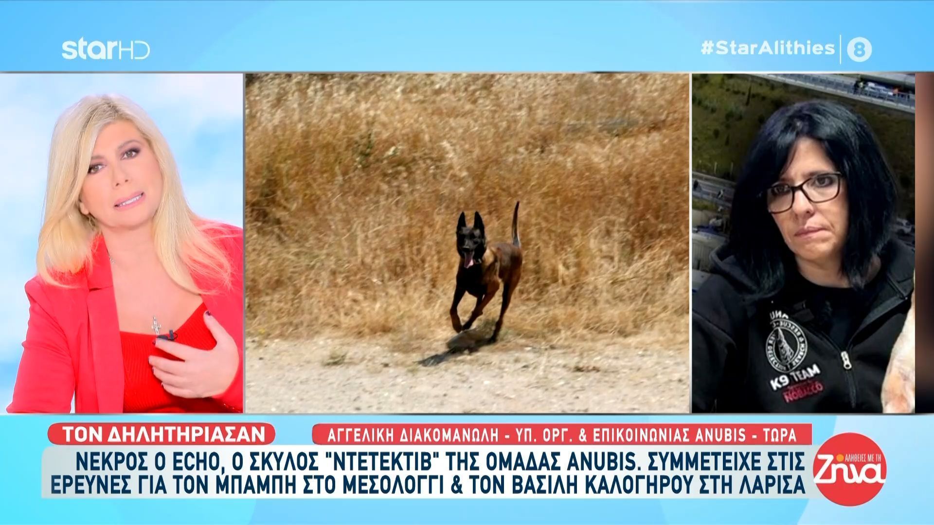 Echo: Δηλητηρίασαν τον σκύλο ντεντέκτιβ της ομάδας «Anubis ...