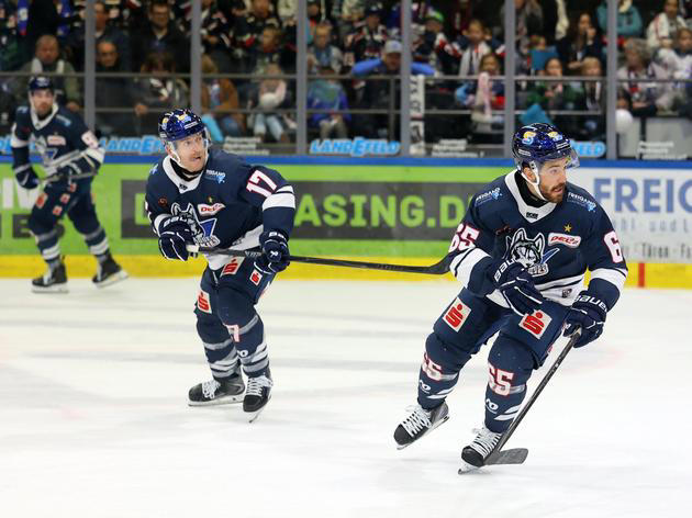 Kassel Huskies: Ab in die Sonne – oder nach Füssen