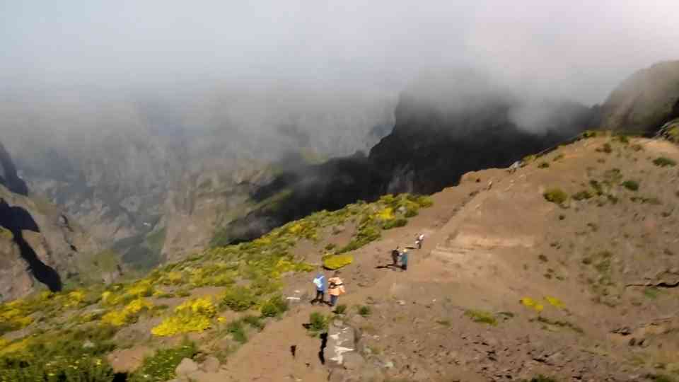 Unexpected health benefits of forest bathing in Madeira