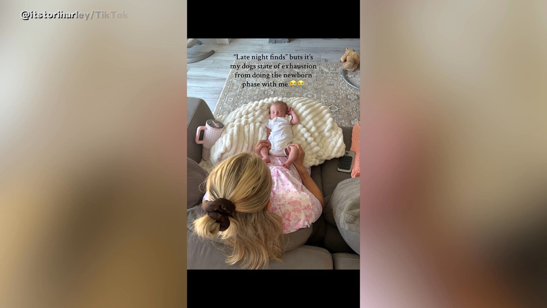 Golden Retriever Fighting Exhaustion After Getting Up With Owner For ...