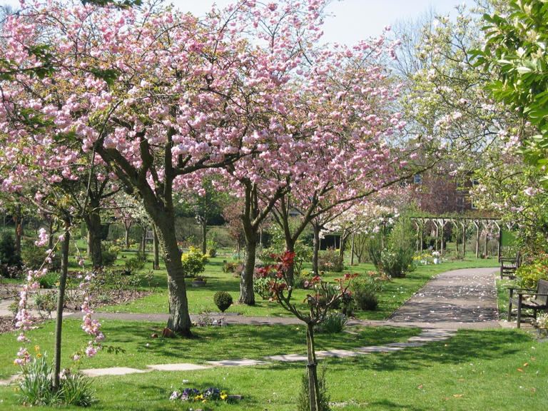 Reigate and Banstead green spaces take home the gold in South & South ...