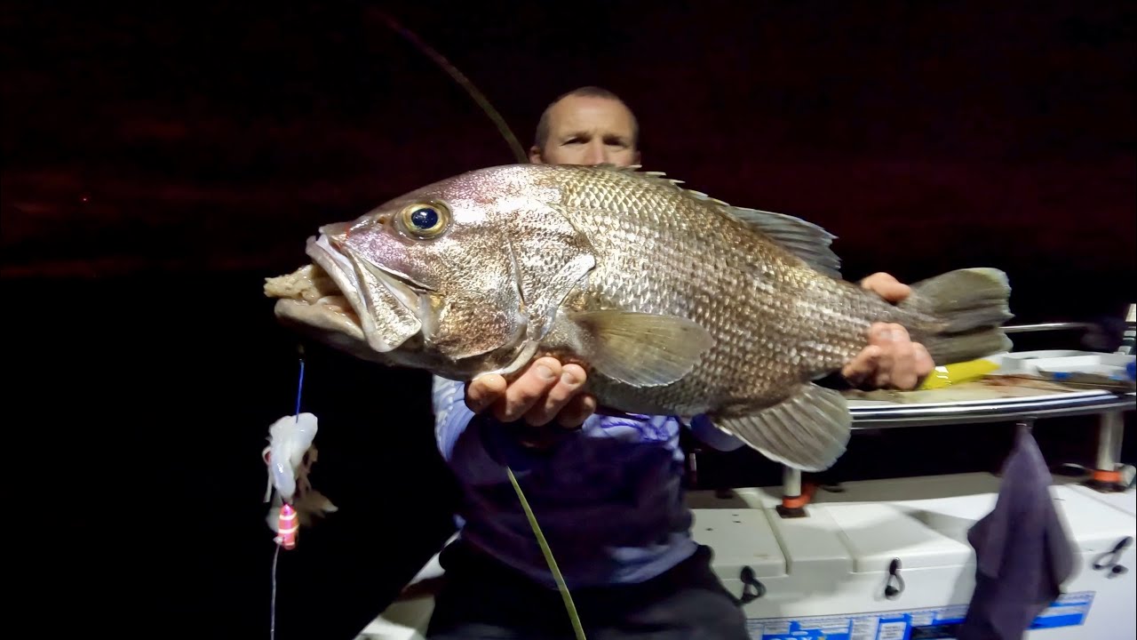 Bite times for big fish - catch and cook adventure