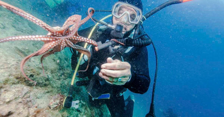 Traces of DNA Found in the Ocean Led to the Discovery of Species That ...