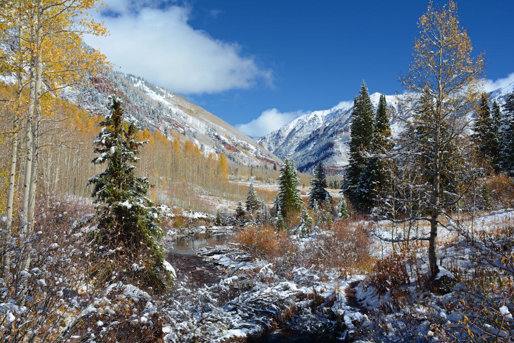 7 Campgrounds That Nature Has Reclaimed