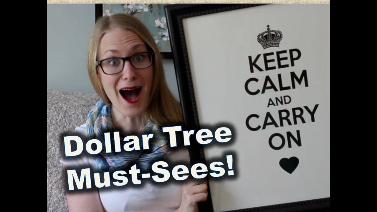 Dollar Tree must-see products!