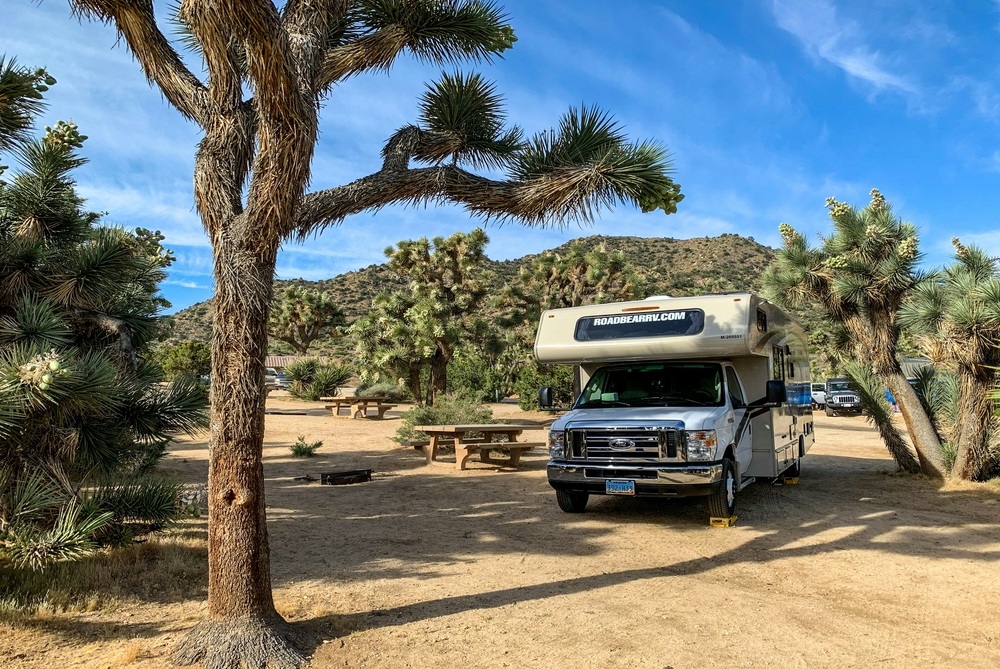Things to do in Joshua Tree besides hiking
