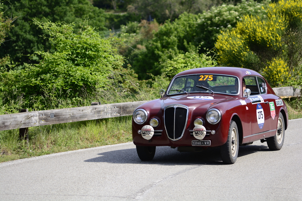 Rare cars hidden by collectors