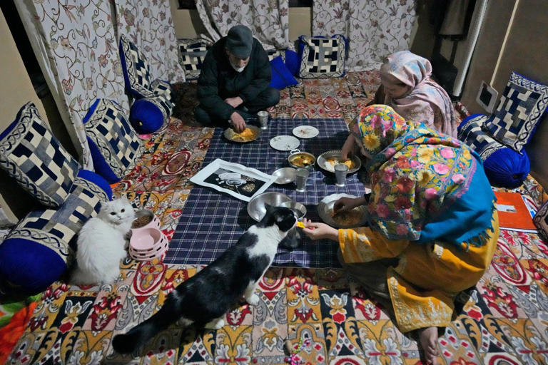 Pets contribute to greenhouse gases like us. Here's how to reduce their ...