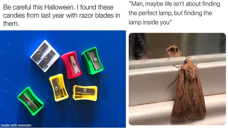 23 Of The Best Random Memes From Social Media