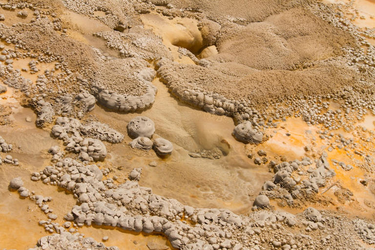 The Atacama Desert: How Life Survives in the Driest Place on Earth