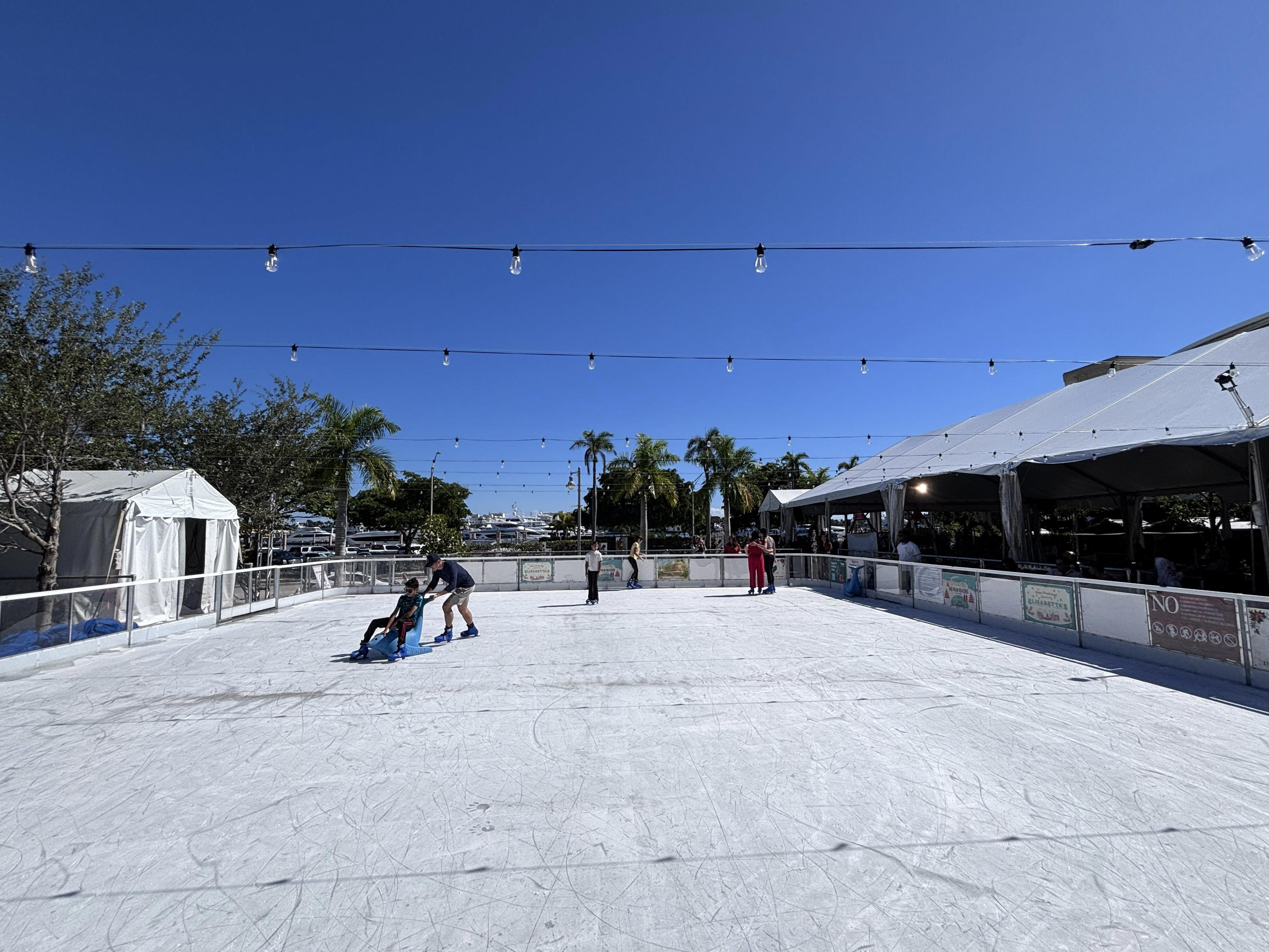 Check out the scenes from the first weekend of Winter Wonderland ice ...
