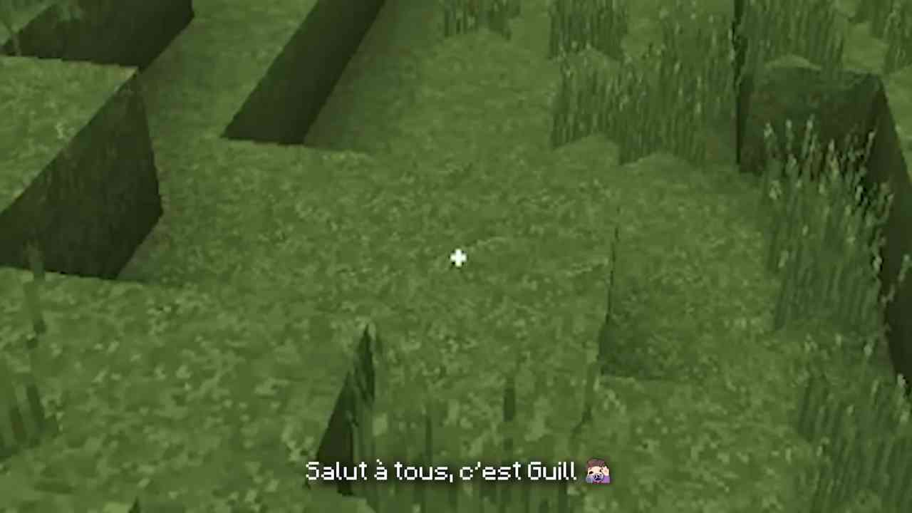 Quel est mon rôle dans cette partie spéciale de LG UHC