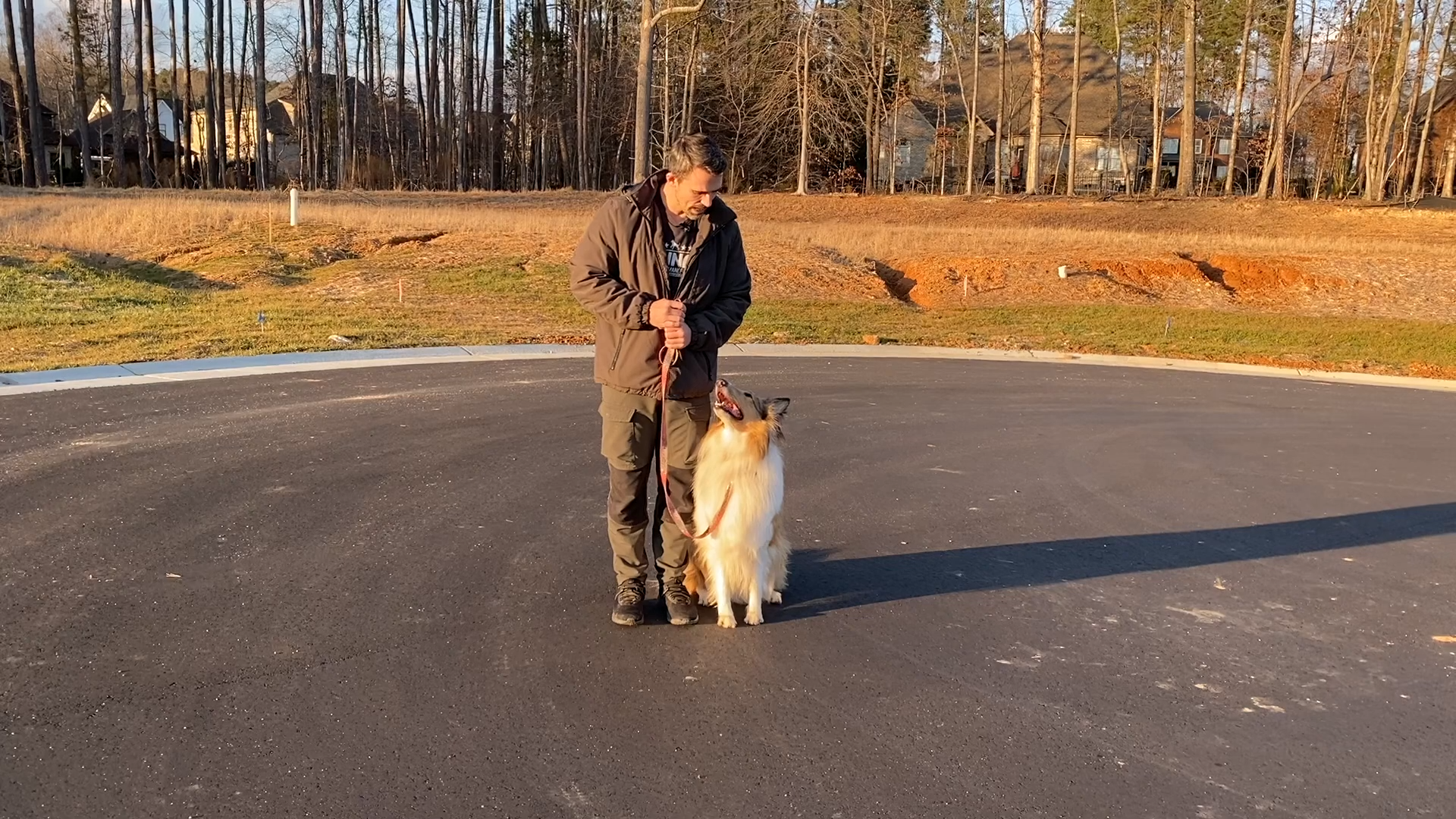 How to Perfect the AKC “Sit Stay – Get Your Leash” Exercise