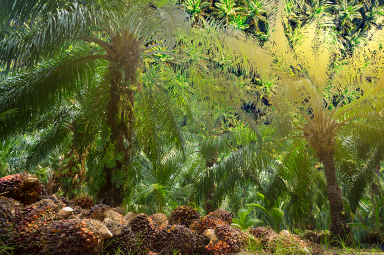 SD Guthrie hits top spot in SPOTT assessment with 97.5 per cent score ...