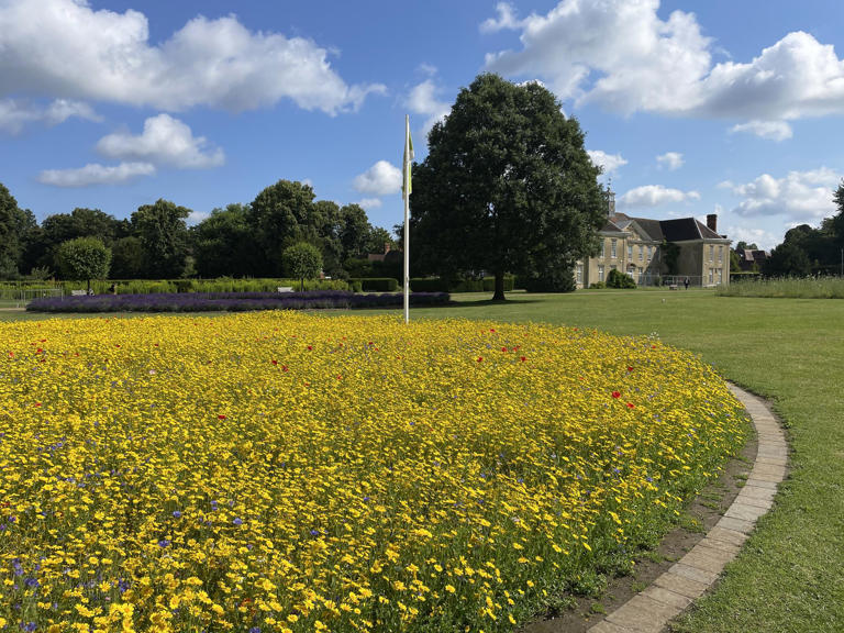 Reigate and Banstead green spaces take home the gold in South & South ...