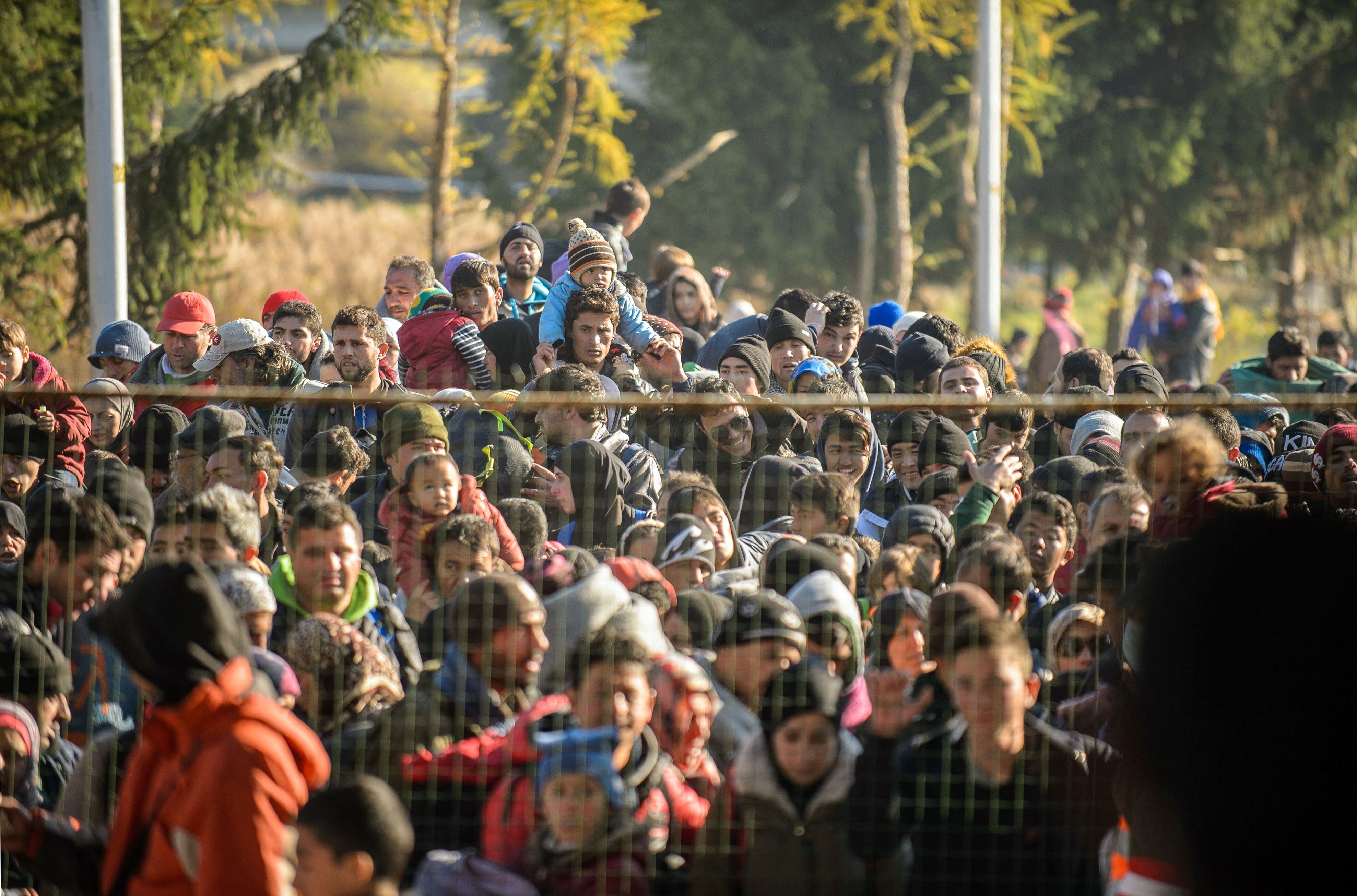 Germany to Repatriate Syrian Refugees as Civil War Ends