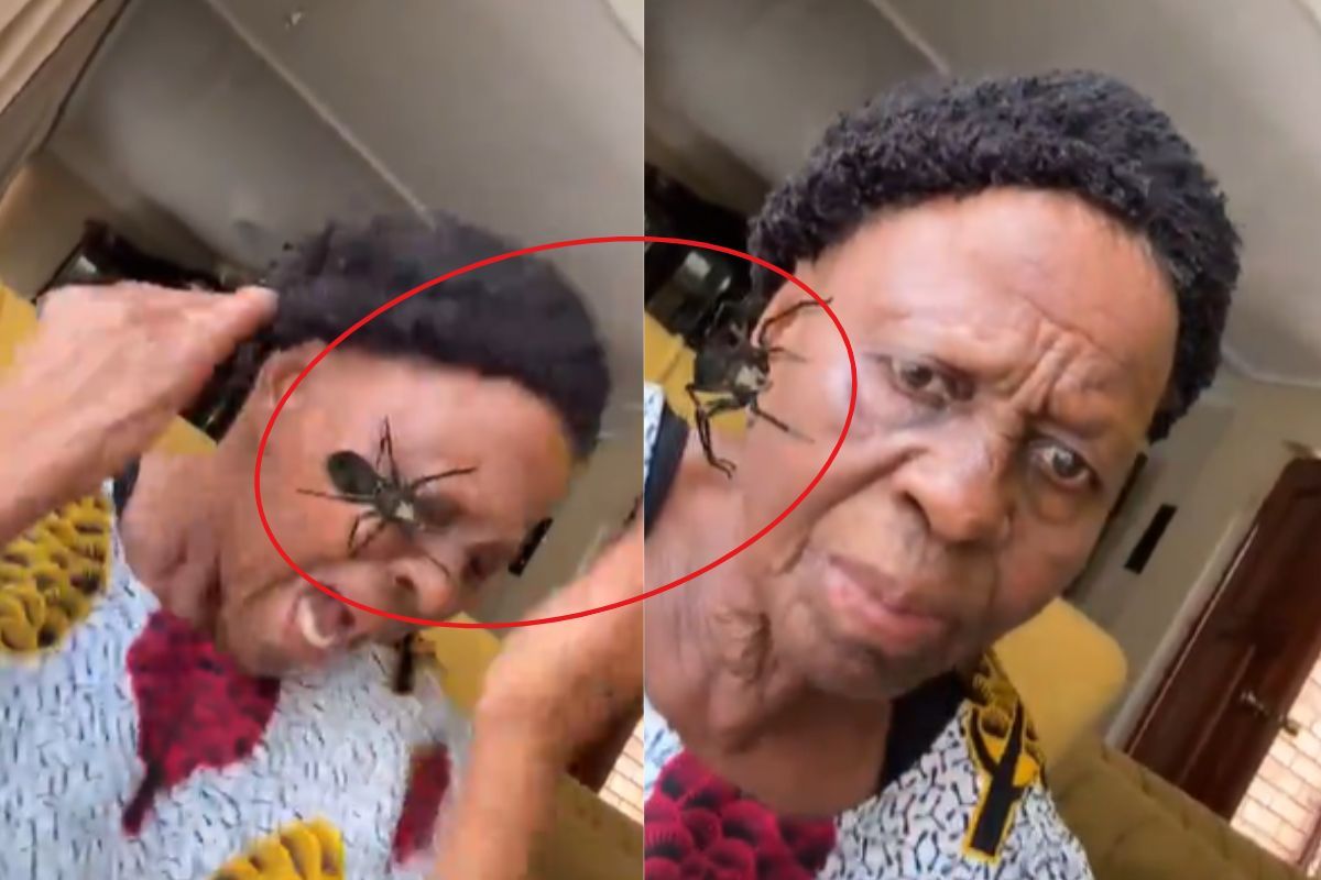 Gogo’s hilarious reaction to spider filter prank has Mzansi in stitches ...