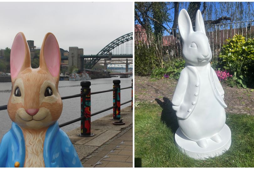 St Oswald's Hospice launches search for artists to paint Peter Rabbits ...