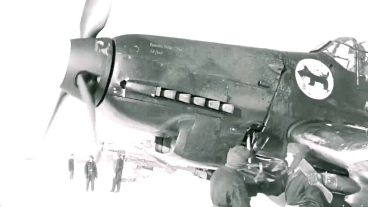 The 'Obsolete' WWII Plane That Became Hitler's Deadliest Tank Buster