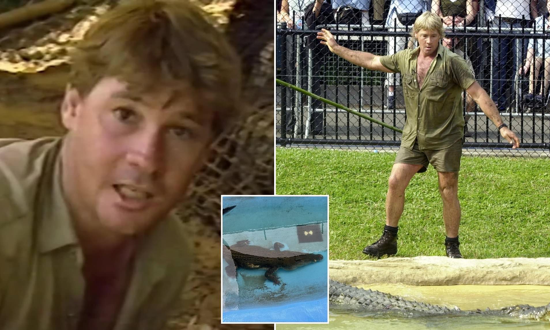 The Irwin Family come under fire after giant croc is inturned at ...