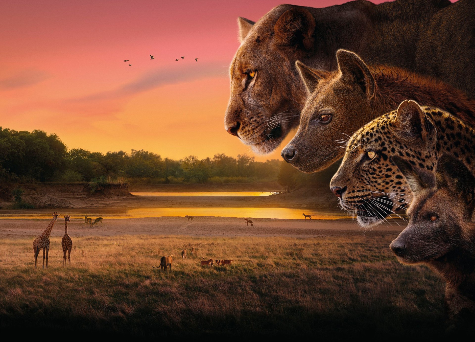 David Attenborough's new BBC series is groundbreaking