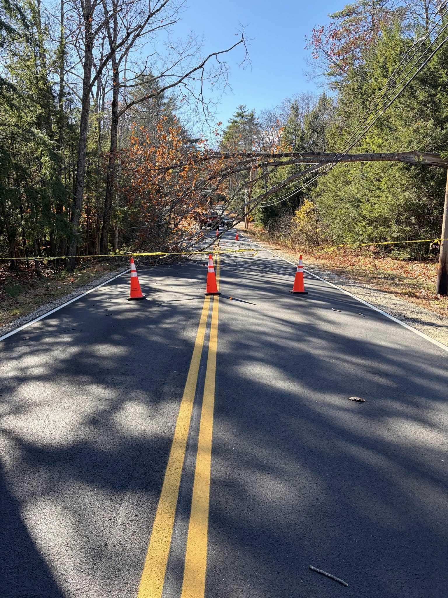 Tens of thousands lose power as strong winds bring down branches, power ...