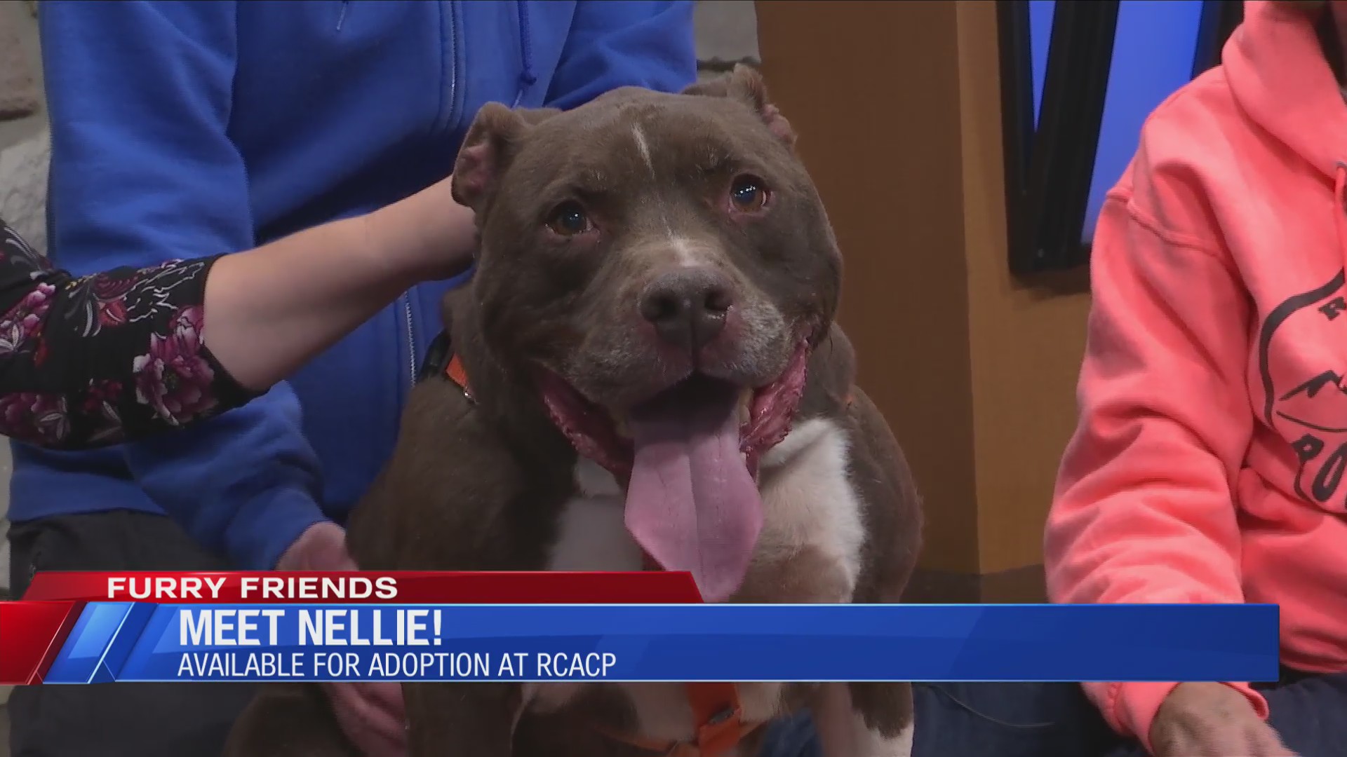 Furry Friends: Nellie knows how to make you smile!
