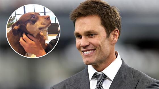 Tom Brady Reveals His Dog Junie Is a Clone of His Late Dog Lua