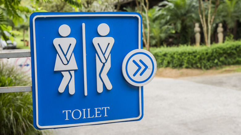 The Unique Type Of Toilet Tourists Should Know About Before Visiting ...