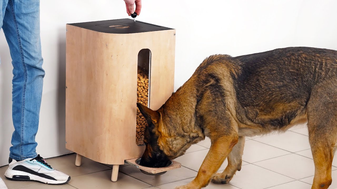 DIY Wooden Pet Food Dispenser: Ultimate Mess-Free Feeder Build!