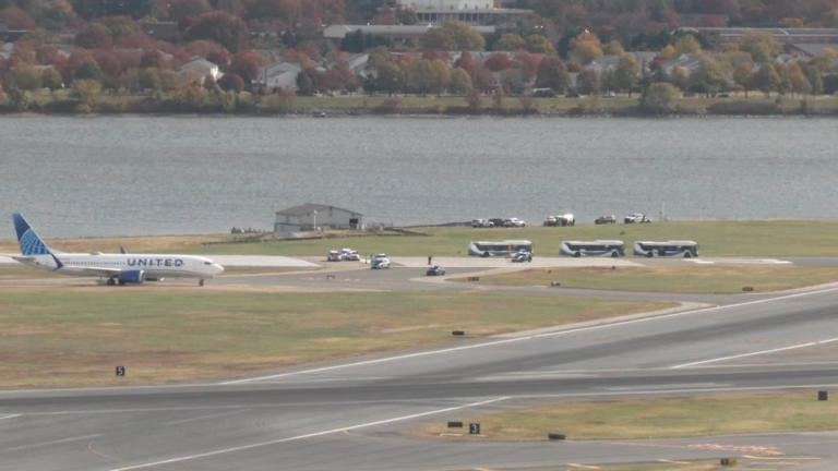 Security threat on plane leads to ground stop at Reagan National ...
