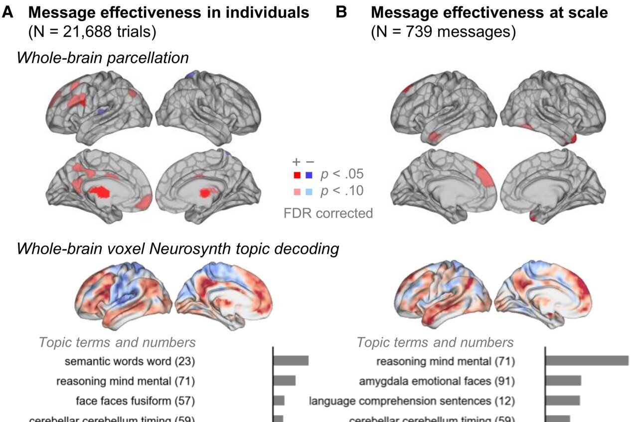 Seeing persuasion in the brain: Neural responses to content may serve ...